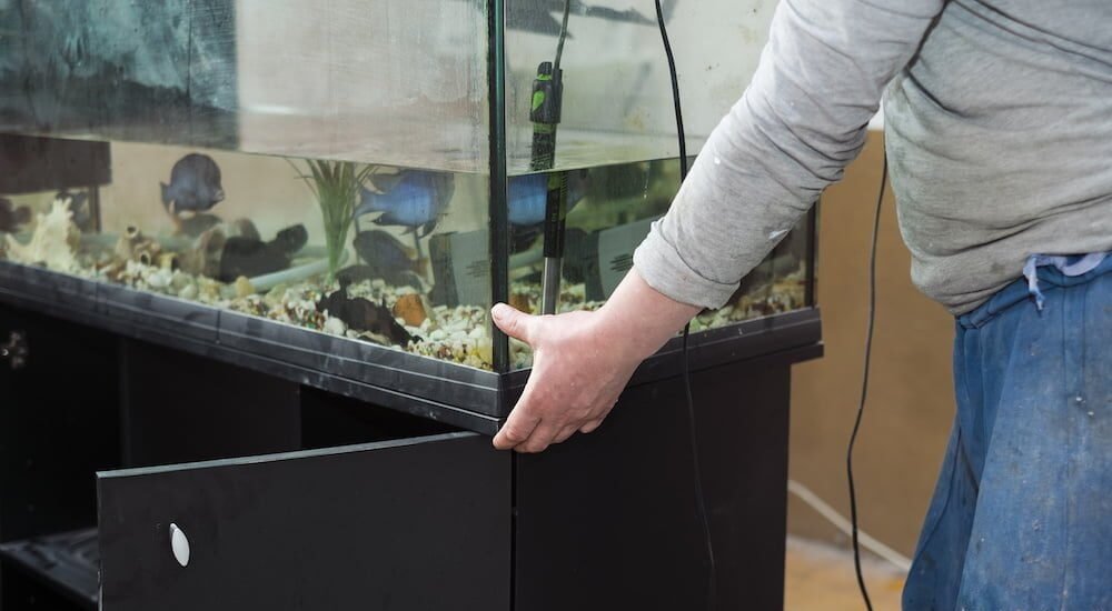 Move a Fish Tank Safely: Tips to Relocate Without Harming Fish